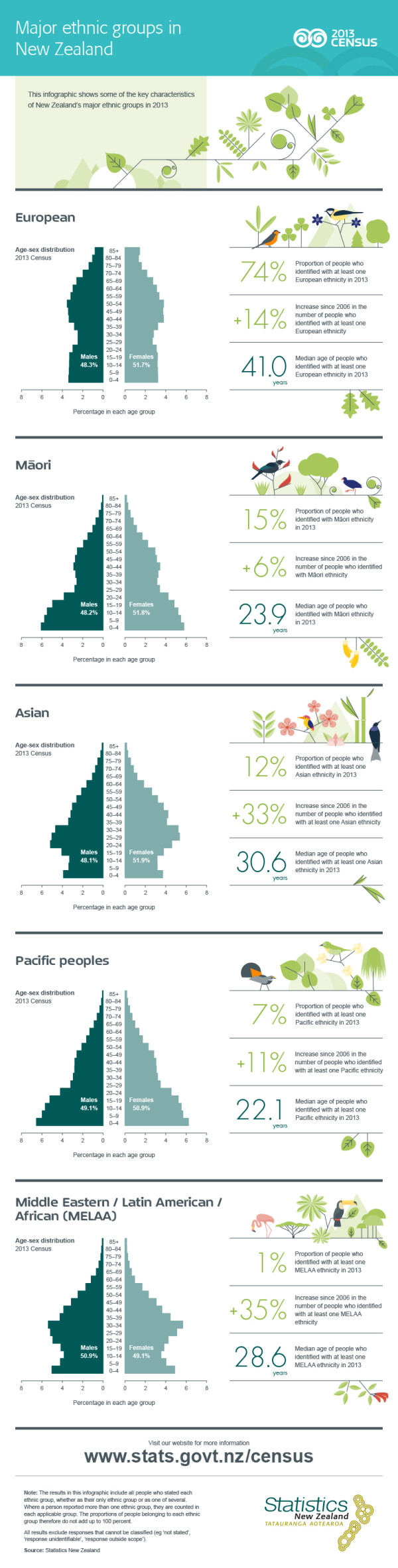 Major ethnic groups in New Zealand | Stats NZ