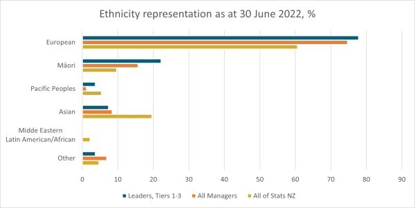 Diversity and Inclusion at Stats NZ | Stats NZ