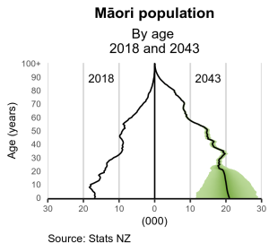 National ethnic population projections: 2018(base)–2043 (update) | Stats NZ