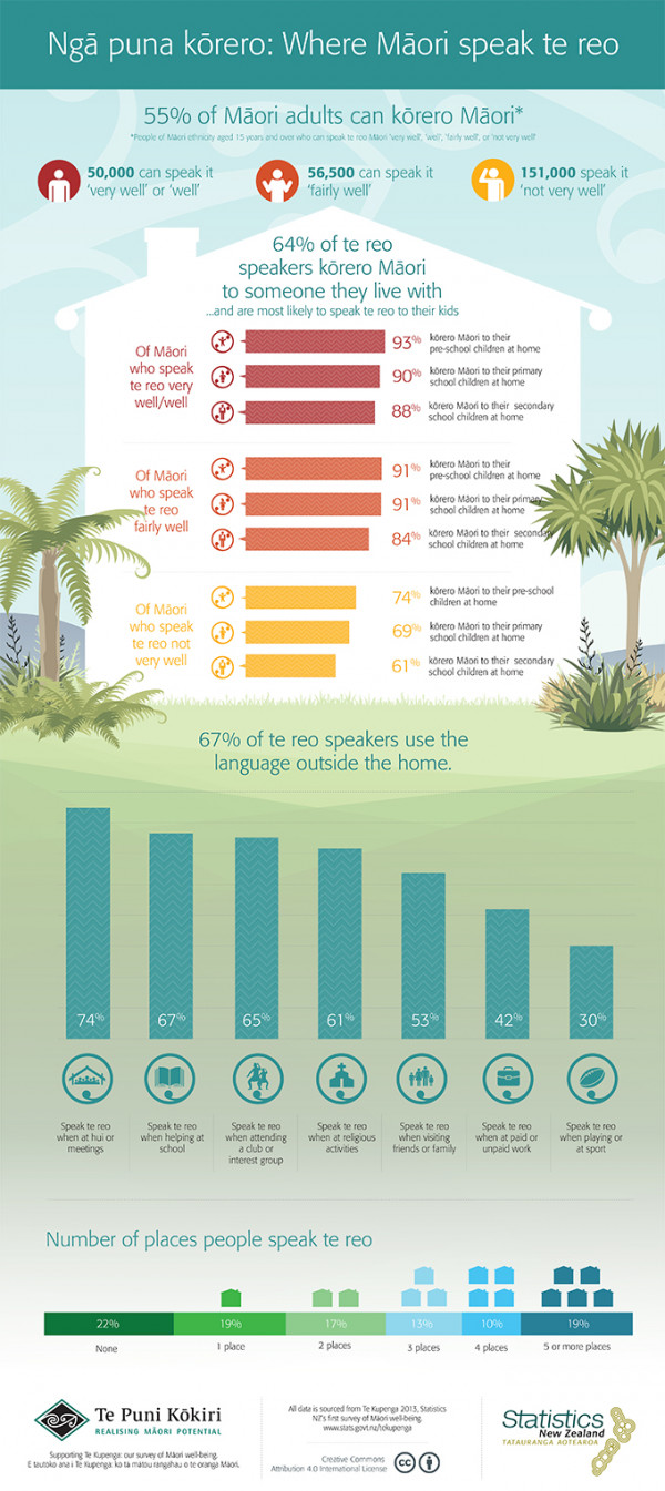 Ngā puna kōrero: Where Māori speak te reo – infographic | Stats NZ