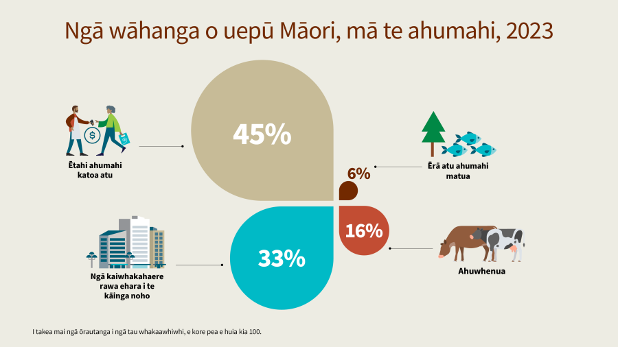 Tatauranga umanga Māori – Statistics on Māori businesses: 2023 (te reo ...
