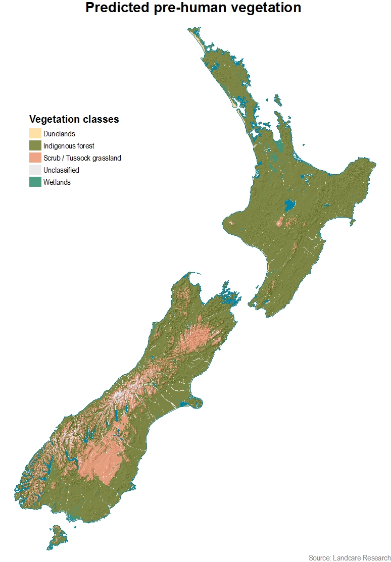Predicted pre-human vegetation | Stats NZ